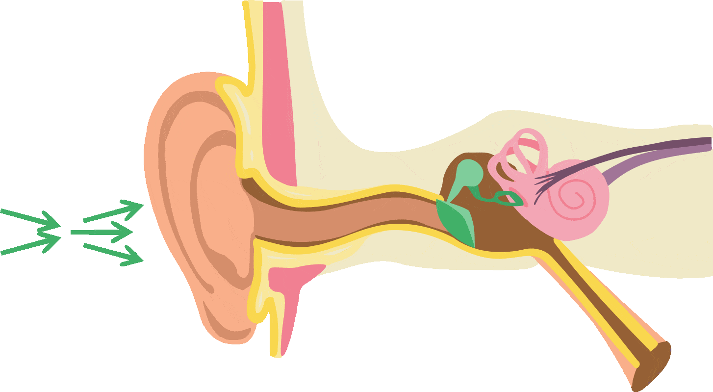 Ear Care Excellence: Unlocking Precision and Safety in Otoscopy ...